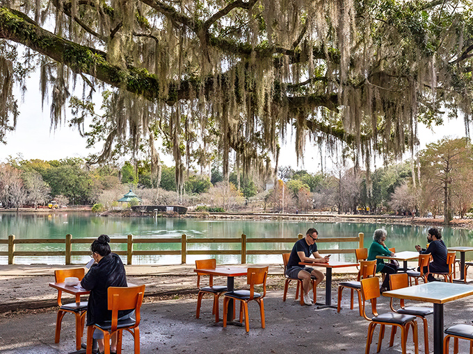 Spanish moss drapes over Lake Ella like nature's own chandelier, creating the perfect backdrop for Leon's magical outdoor dining experience.