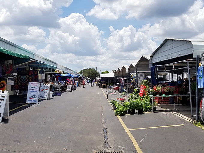The covered walkways of B&A Flea Market offer a treasure hunter's paradise, where one person's castoffs become another's prized discoveries. 