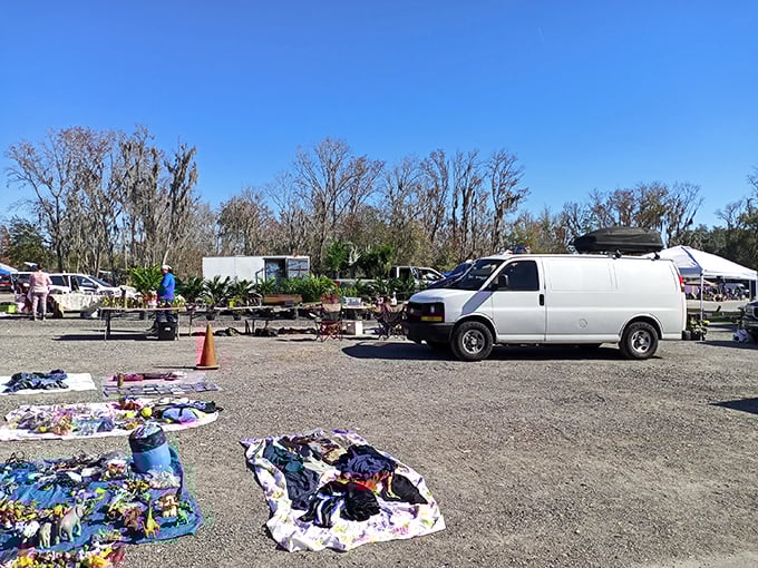 Treasure hunters navigate the bustling aisles of Plant City's weekend wonderland. The thrill of discovery hangs in the air like Florida humidity&mdash;inescapable and oddly energizing.