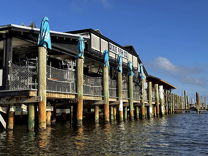 Old Florida charm meets seafood paradise. Palm trees stand guard outside Dixie Fish Company, where the "Wholesale & Retail" sign hints at seriously fresh catches.