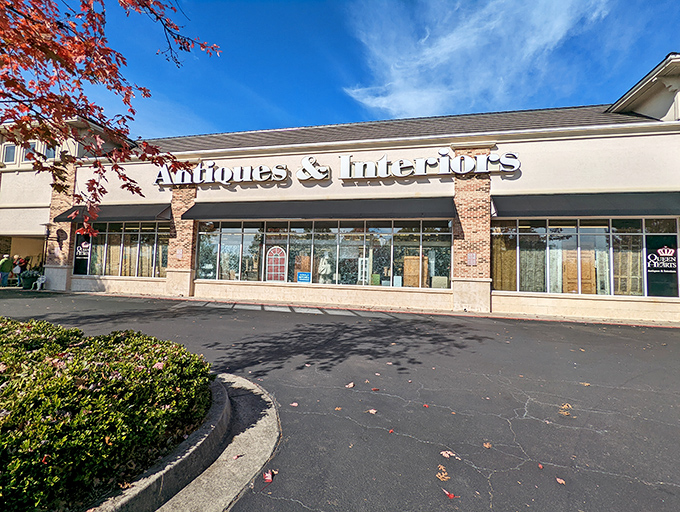 The unassuming exterior of Queen of Hearts belies the wonderland within &ndash; like finding Narnia in a strip mall.