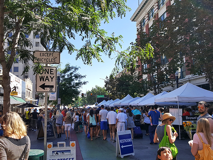 Downtown Boise transforms into a vibrant community tapestry every Saturday, where white tents line the streets and strangers become friends over shared discoveries.
