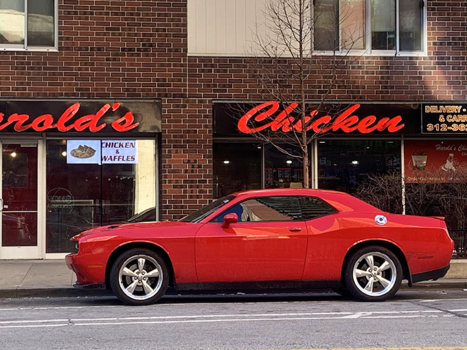 The iconic red signage of Harold's Chicken beckons like a lighthouse for the fried-food faithful. Even fancy cars stop for this South Side treasure.