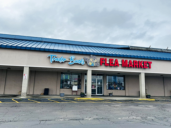 The blue-roofed bargain kingdom beckons with its neon promise of treasures waiting to be discovered inside.