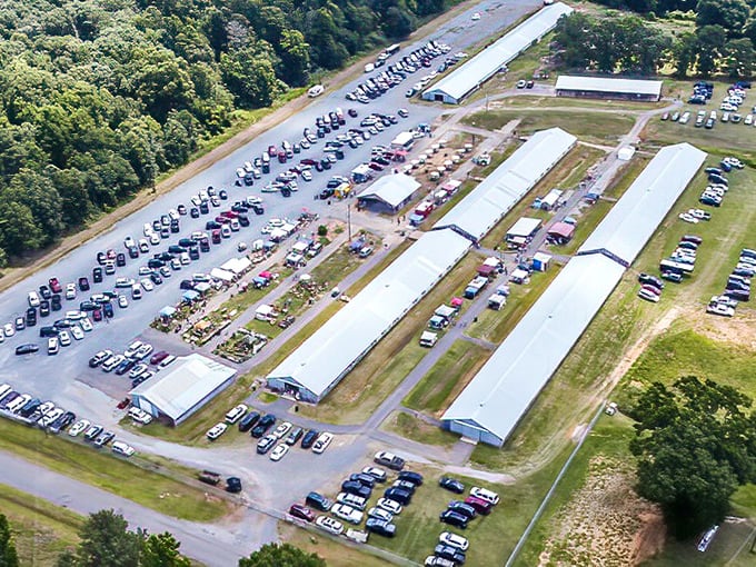 Welcome to treasure hunter paradise! Rows of canopies stretch across Big Creek Trade Days where one person's castoffs become another's prized discoveries.