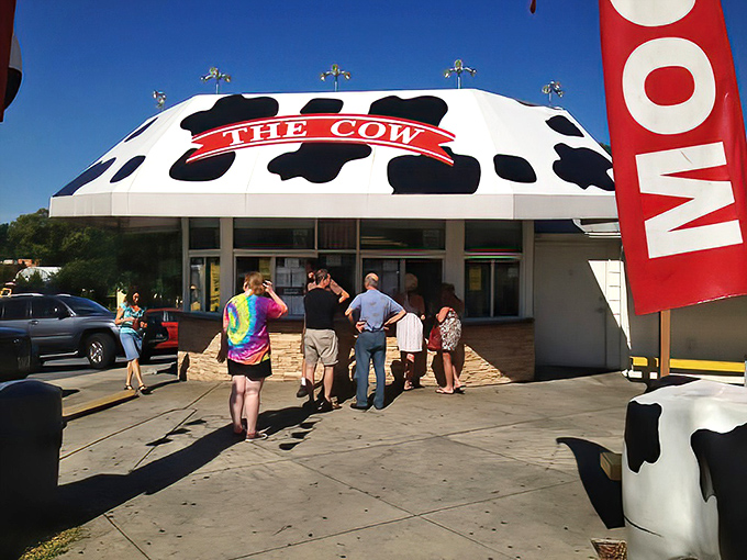 The bovine mothership has landed! This spotted-roof wonder in Reisterstown promises frozen nirvana with a side of nostalgic charm.