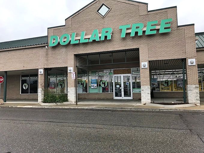 The iconic green lettering beckons like a siren song to bargain hunters. Who knew paradise could be housed in a suburban strip mall?