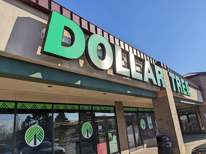 The iconic green signage beckons bargain hunters like a retail lighthouse. Dollar Tree's promise of affordable treasures shines bright against Minnesota's often-gray skies.