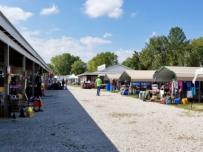 Treasure hunters navigate the gravel pathways between vendor stalls, where yesterday's castoffs transform into tomorrow's conversation pieces.