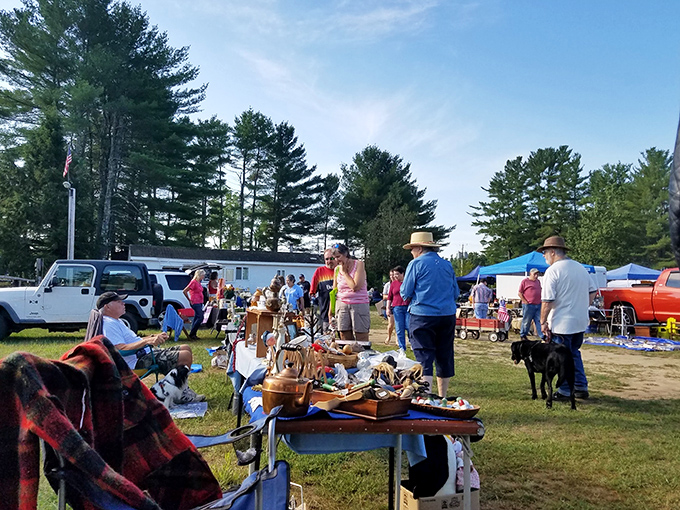A treasure hunter's paradise unfolds beneath towering pines, where colorful canopies shelter countless stories waiting to be discovered.
