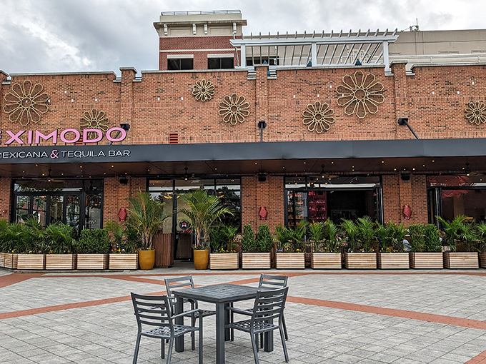 Meximodo's striking exterior combines brick warmth with modern flair. Those metal sunburst decorations aren't just for show&mdash;they're foreshadowing the flavor explosion waiting inside.