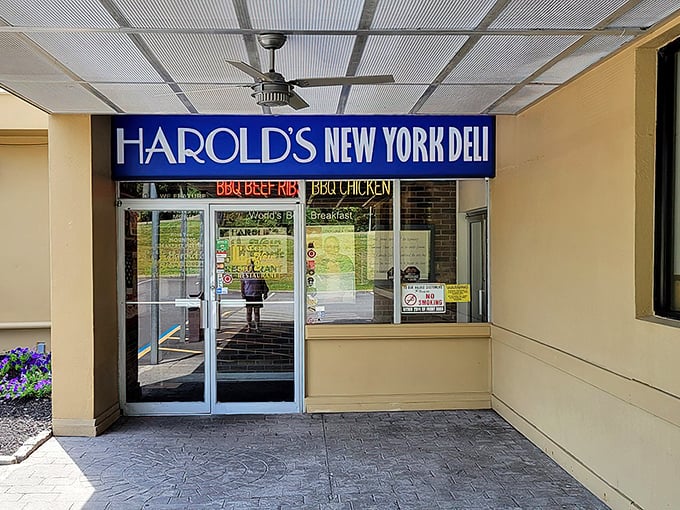 The unassuming entrance to Harold's New York Deli belies the colossal culinary feats waiting inside. Like finding a treasure chest disguised as a mailbox.
