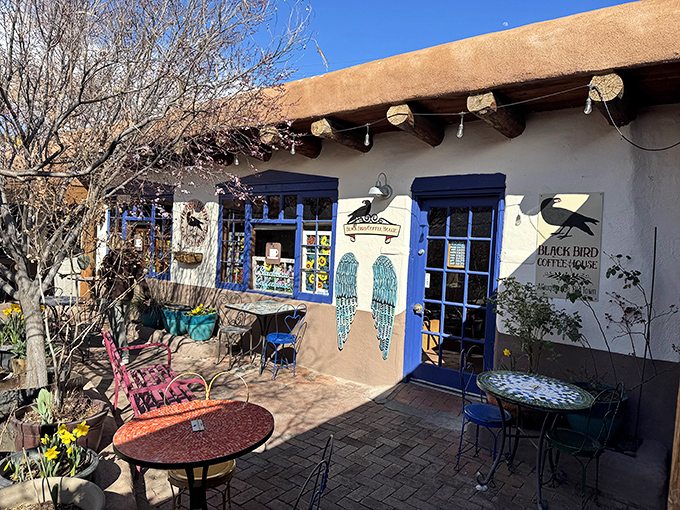 Gateway to caffeine paradise! The iconic entrance to Blackbird Coffee House, where strings of red chile peppers frame the blue door like New Mexico's most delicious welcome mat.
