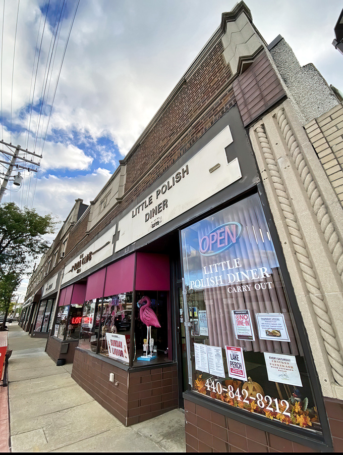 The unassuming brick fa&ccedil;ade of Little Polish Diner in Parma might not scream "culinary destination," but that pink awning hints at the colorful flavors waiting inside.