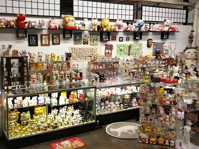 Step into a wonderland where thousands of lucky cats wave hello from every corner, shelf, and display case in this mesmerizing Cincinnati treasure.