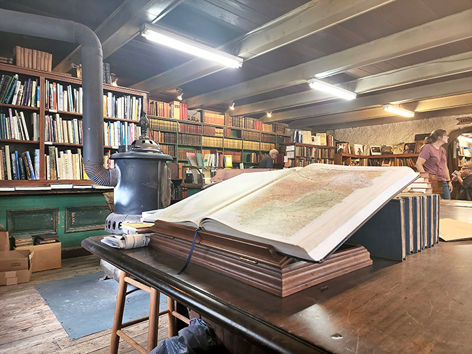 An open atlas beckons explorers while shelves stretch to infinity. At Baldwin's, every book is a doorway to another world.