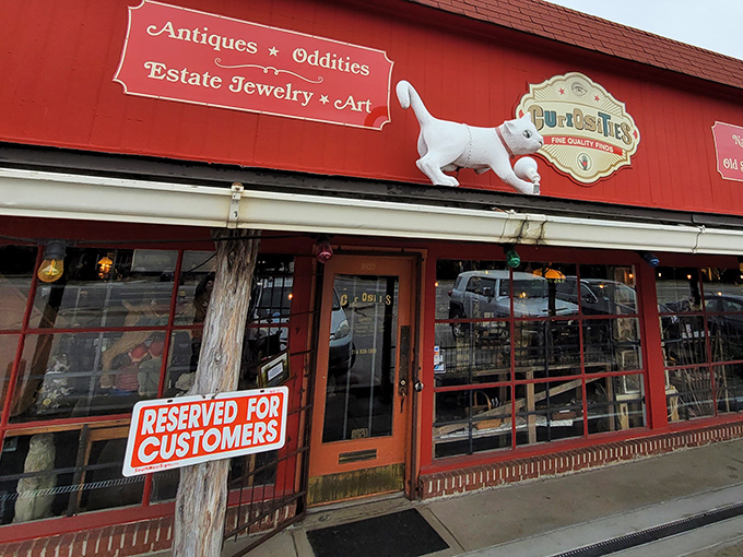The flying cat above Curiosities' entrance isn't just whimsical decor&mdash;it's your first clue that normal retail rules don't apply inside this red wonderland.