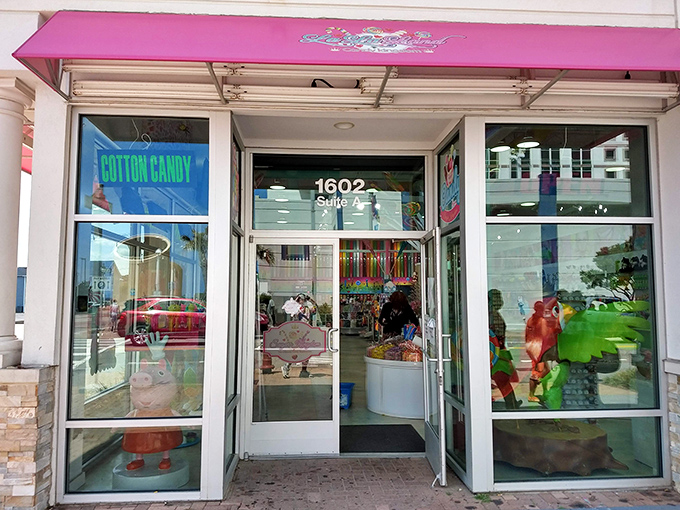 The bright pink awning of La La Land beckons sweet-toothed visitors like a sugar-coated lighthouse on Virginia Beach's shopping strip.