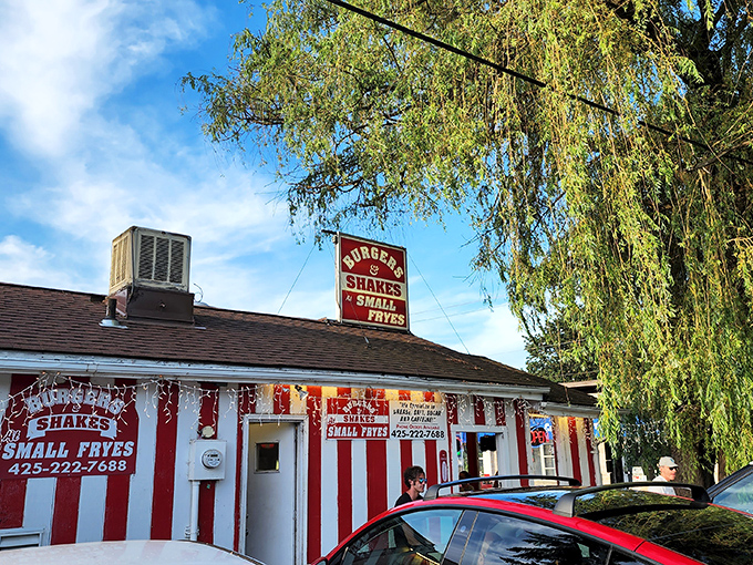 The candy-striped wonderland of Small Fryes stands like a beacon of comfort food in Fall City, promising delicious simplicity under those weeping willows.