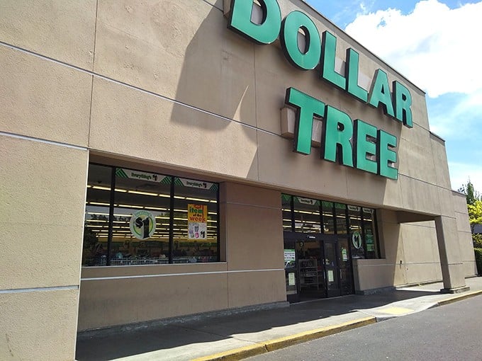 The iconic green signage of Dollar Tree beckons like a budget-friendly lighthouse on a rainy Seattle day. Bargain hunters, your port awaits!
