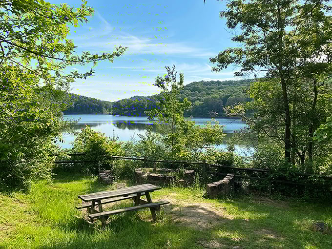 Escape to Lake Hope State Park in McArthur, where you can enjoy a peaceful picnic with stunning views of the water.