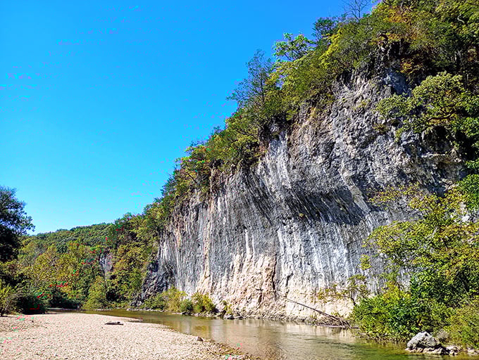 Nature's skyscraper! The towering limestone bluff reflects perfectly in Sinking Creek's crystal waters, creating a mirror image that no Instagram filter could improve.