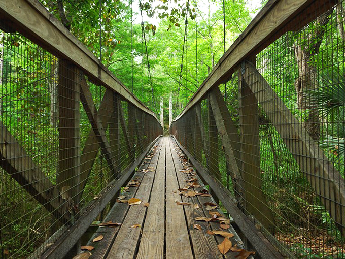 Suspension bridges aren't just for action movies&mdash;they're for everyday adventurers willing to leave the pavement behind at Ravine Gardens State Park.