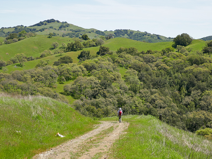Rolling hills stretch to the horizon like nature's own screensaver, with a lone hiker reminding us that some paradises are meant to be explored on foot.