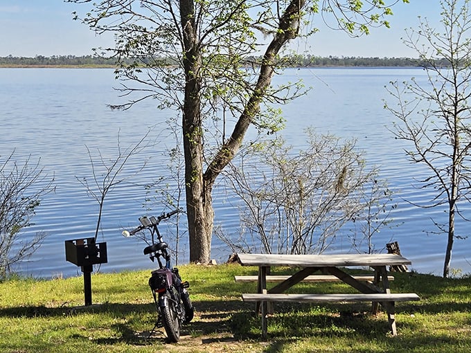 Nature's perfect picnic spot awaits with a lakeside view that makes even smartphone addicts forget to check their notifications. 