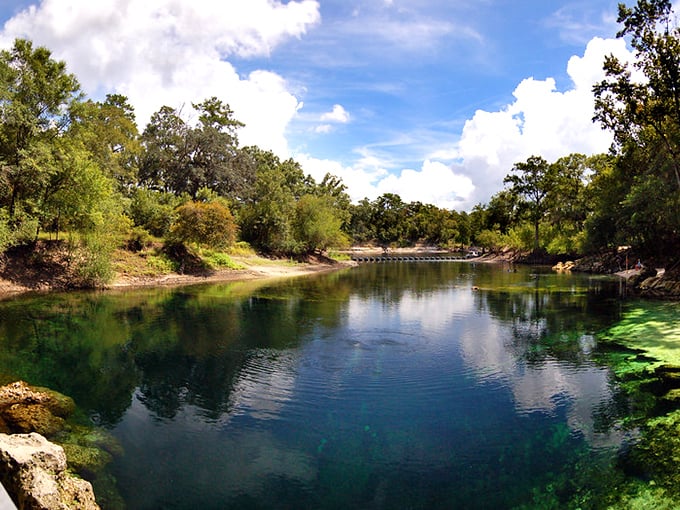 Nature's perfect mirror reflecting Florida's true soul&mdash;a spring so pristine you'd think someone Photoshopped reality. Breathtaking doesn't begin to cover it.