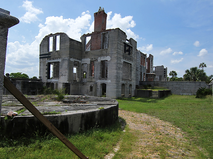 Nature slowly reclaims what humans built, creating a hauntingly beautiful tableau where brick and stone meet wild grasses under the Georgia sky.