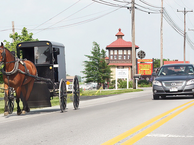 Main Street Strasburg offers that perfect small-town tableau where brick buildings stand like sentinels of simpler times, complete with flowering trees that know exactly when to bloom for tourists.