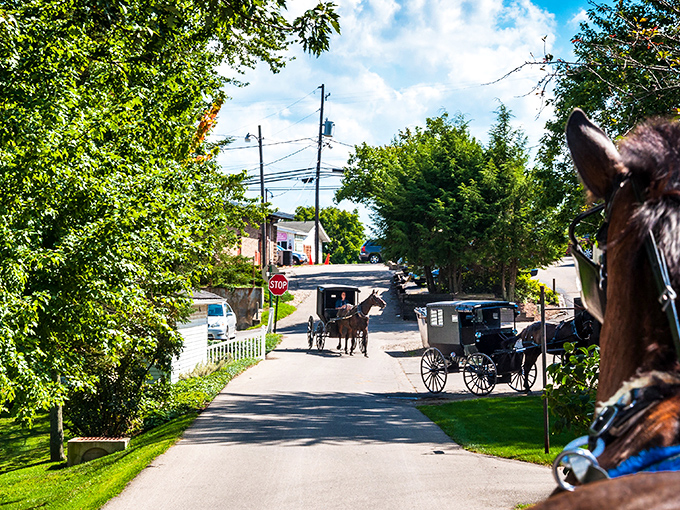 Modern meets traditional on this country road where an Amish buggy and tractor share the same stretch of asphalt &ndash; time travel without the flux capacitor.