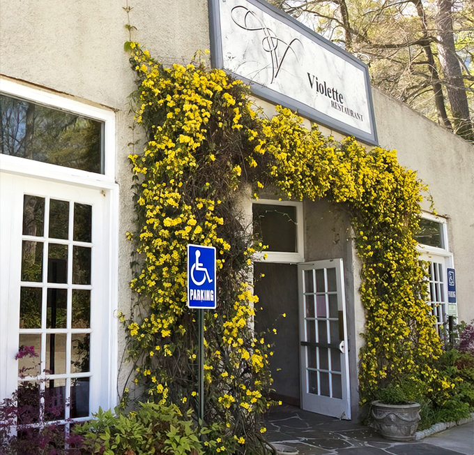 The unassuming exterior of Petite Violette belies the culinary treasures within, like finding a Michelin star hiding behind a garden trellis.