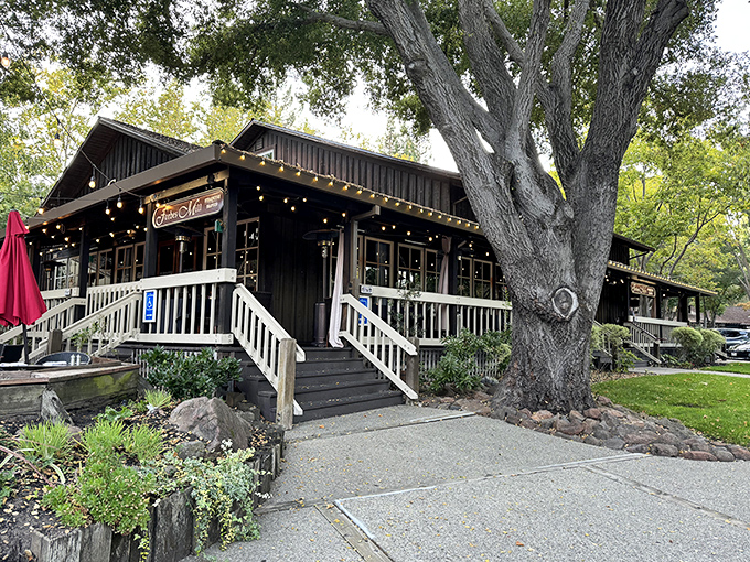 The rustic charm of Forbes Mill's exterior belies the culinary sophistication waiting inside. Those twinkling lights aren't just decoration&mdash;they're a beacon for steak lovers.