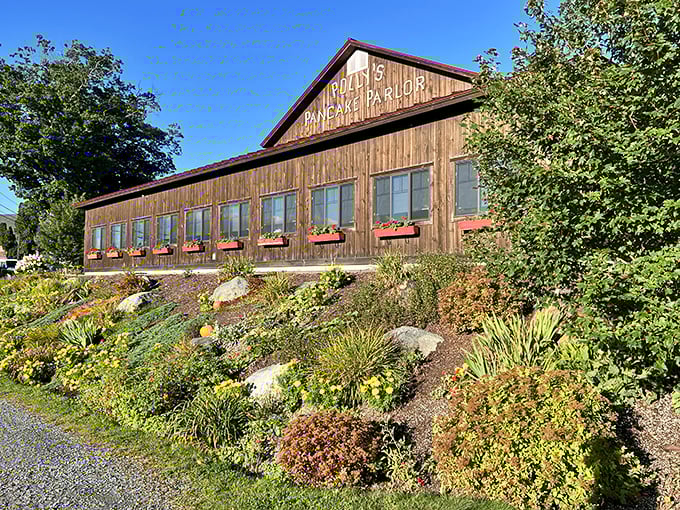 The quintessential New England breakfast experience housed in rustic wooden charm. Polly's sits like a maple-scented beacon on the hillside, welcoming hungry pilgrims.