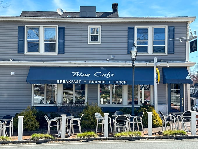 The welcoming blue awnings and vibrant potted plants make Blue Cafe's exterior as inviting as a friend's porch on a perfect summer day.