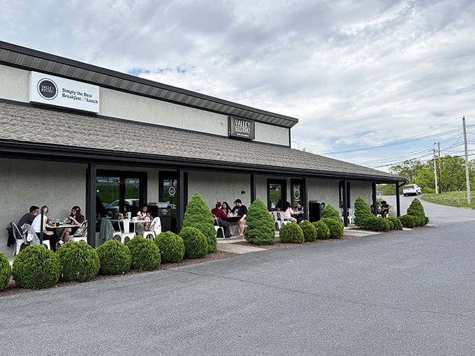 Valley Bistro's unassuming exterior hides culinary treasures within – like finding a Michelin-starred restaurant in your neighbor's garage.