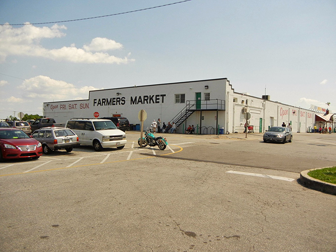 The rainbow-colored sign atop New Castle Farmers Market promises a kaleidoscope of treasures inside, like a retail Narnia hiding behind an unassuming facade.