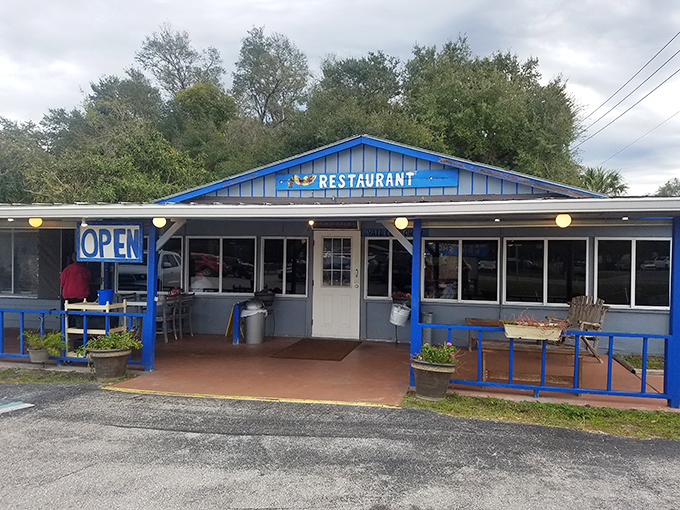 Think roadside charm meets Havana heat, all served with a side of &ldquo;Where has this been all my life?&rdquo;