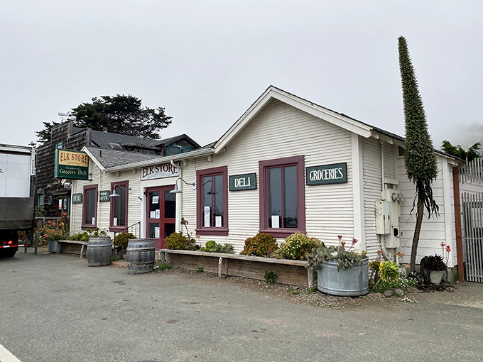 The classic white clapboard exterior of Elk Store, with its burgundy trim and weathered wine barrels, isn't just Instagram-worthy&mdash;it's a portal to sandwich paradise.