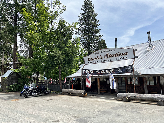 Where wilderness meets comfort food. This rustic mountain hideaway stands proudly among towering pines, promising culinary treasures for hungry travelers.