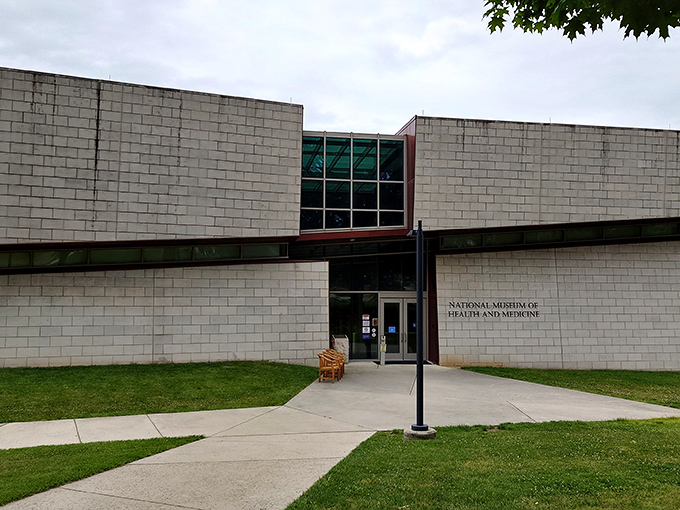 he sleek modern exterior belies the historical treasures within. Like finding a five-star restaurant in a strip mall, this unassuming building holds surprising delights.