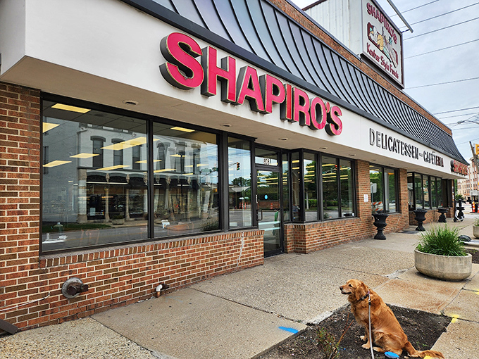 The iconic red Shapiro's sign beckons hungry travelers like a delicatessen lighthouse, promising sandwich salvation to all who enter its doors.