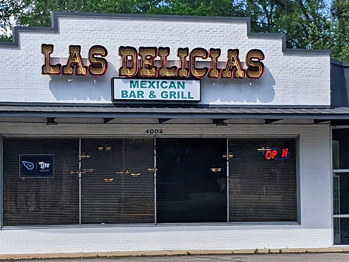 The unassuming exterior of Las Delicias hides culinary treasures within. Sometimes the most memorable meals happen in the most modest buildings.