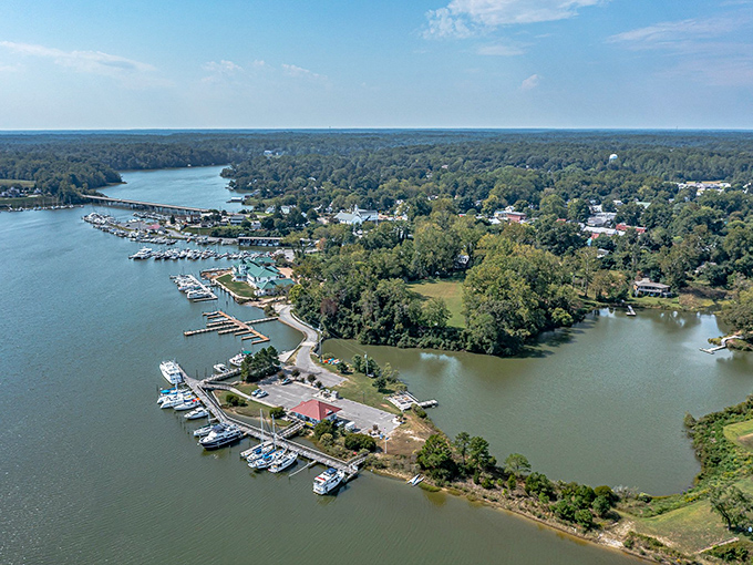 Urbanna's marina stretches like welcoming arms into the Rappahannock, where boats bob gently in what might be Virginia's most picturesque aquatic parking lot.