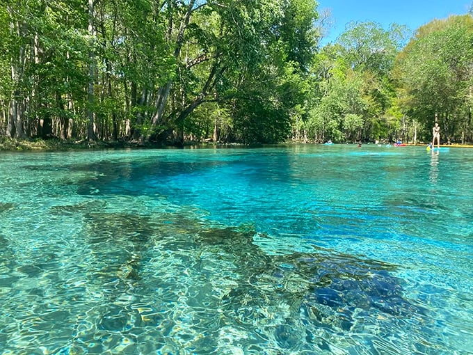 Mother Nature's swimming pool comes with its own filtration system. The crystalline blue waters at Gilchrist Springs make the Caribbean look like a muddy puddle.