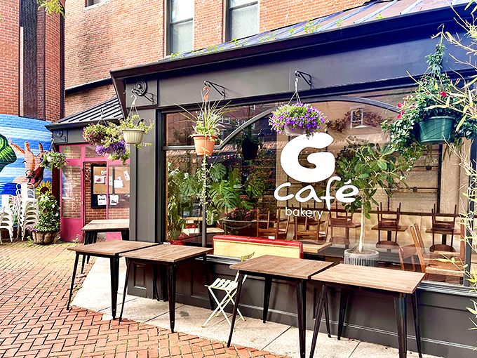 The storefront beckons like an old friend, with its tan facade and large windows offering glimpses of culinary happiness within. New Haven's brick sidewalks lead right to deliciousness.