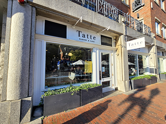 The elegant storefront of Tatte Bakery & Cafe stands like a culinary beacon in Harvard Square, promising delights that would make even the most stoic New Englander smile.