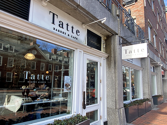 The elegant storefront of Tatte Bakery & Cafe stands like a culinary beacon in Harvard Square, promising delights that would make even the most stoic New Englander smile.